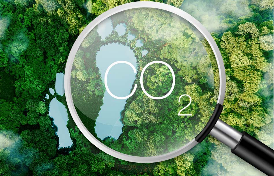 Nachhaltigkeit ∣ Dietzel Univolt